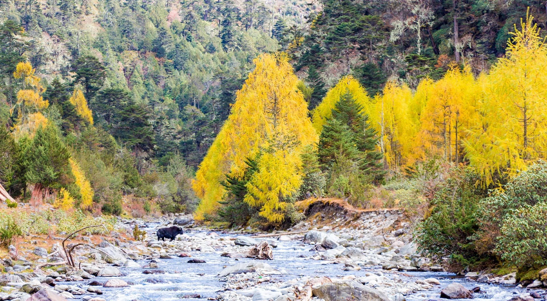 UNESCO World Heritage Sites of Bhutan - Nomadic Expeditions