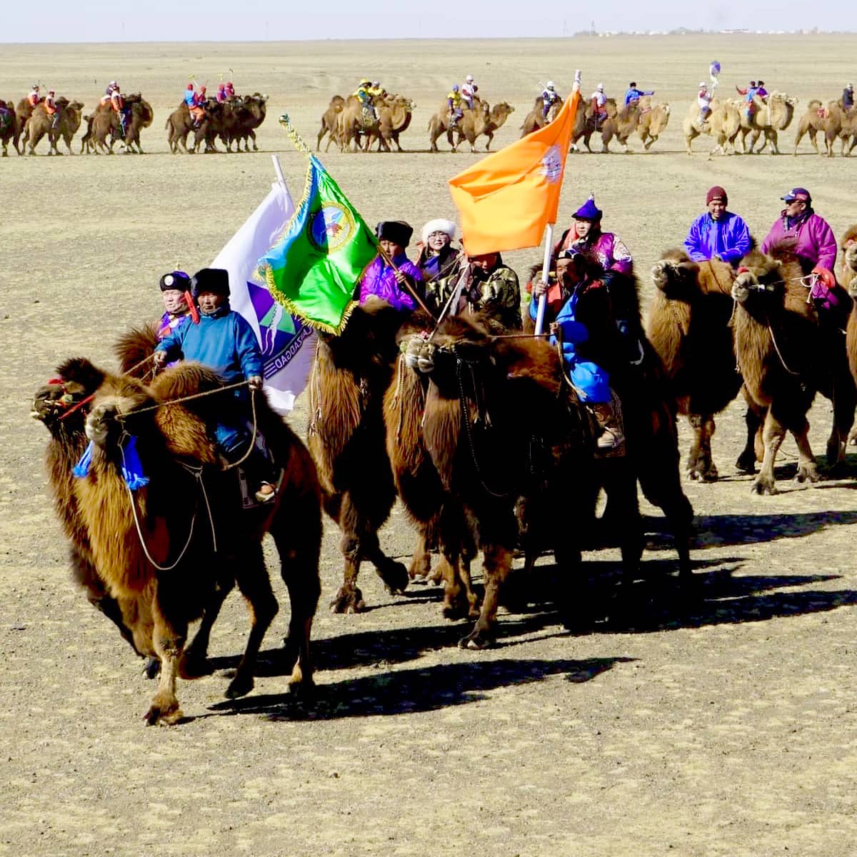Thousand Camel Festival | Mongolia Group Journey
