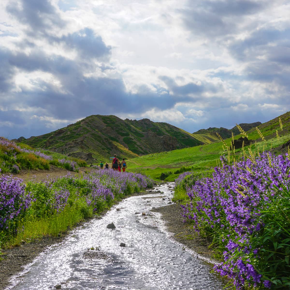 Classic Mongolia – Naadam Festival | Mongolia Group Journey