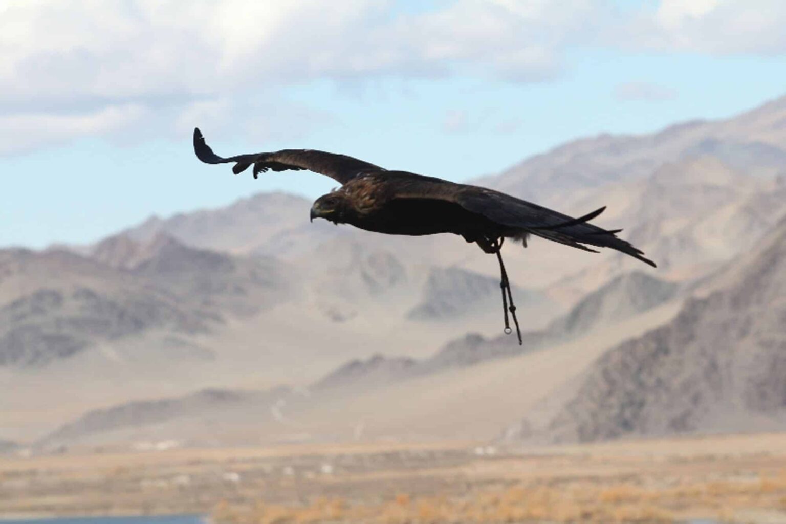 Golden Eagle Festival + Gobi - Mongolia Group Journey Itinerary