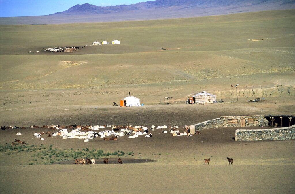 Ultimate Gobi - Mongolia Journey Private Itinerary