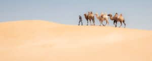 10 Landmarks That Make the Gobi Desert Unforgettable - Nomadic Expeditions
